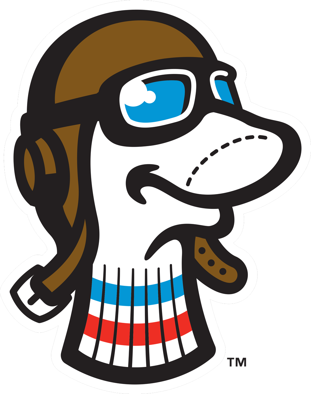 NC Airports Association – Elevating the success of North Carolina airports